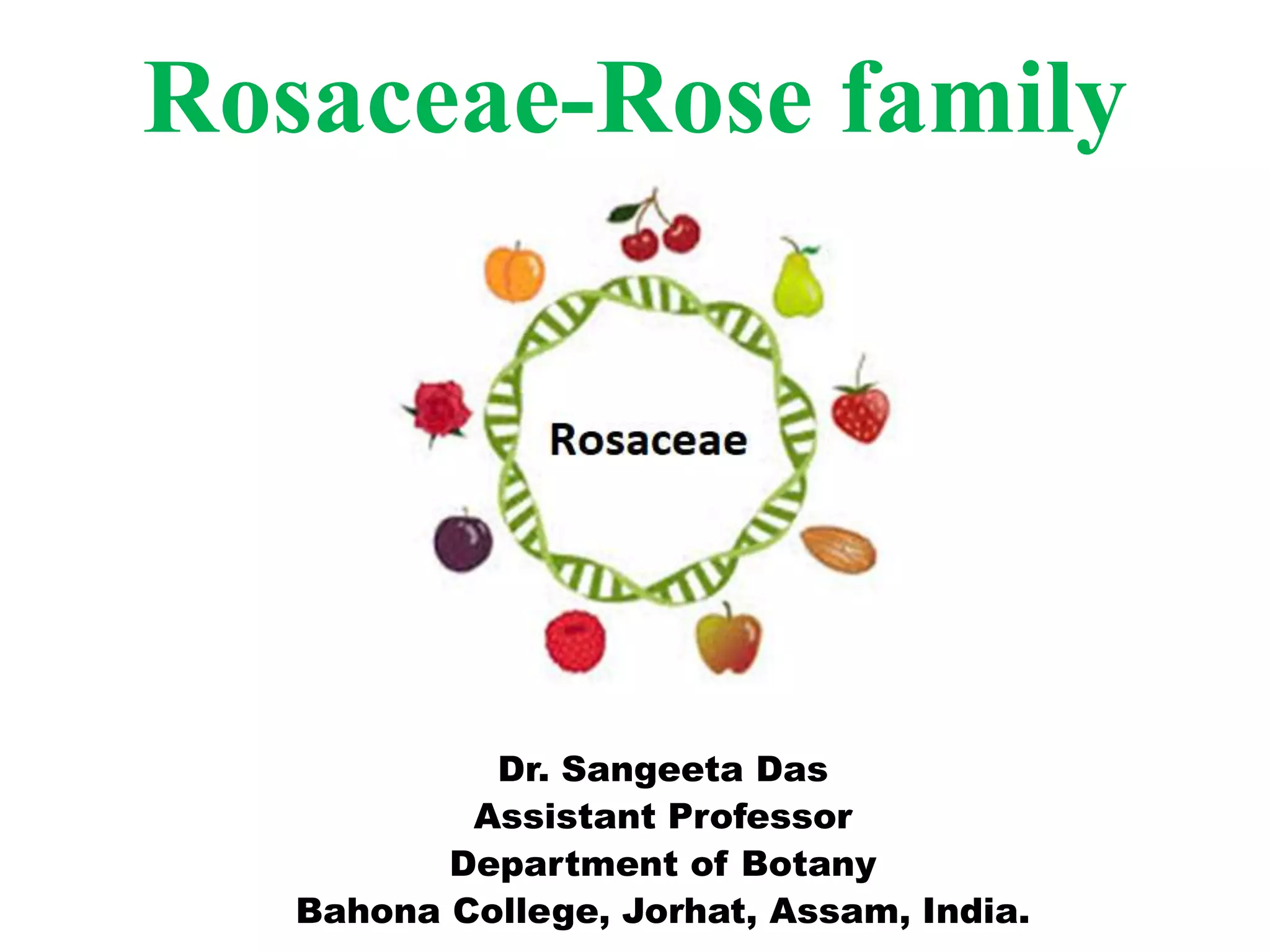 Rosaceae family-Plant Taxonomy | PPTX