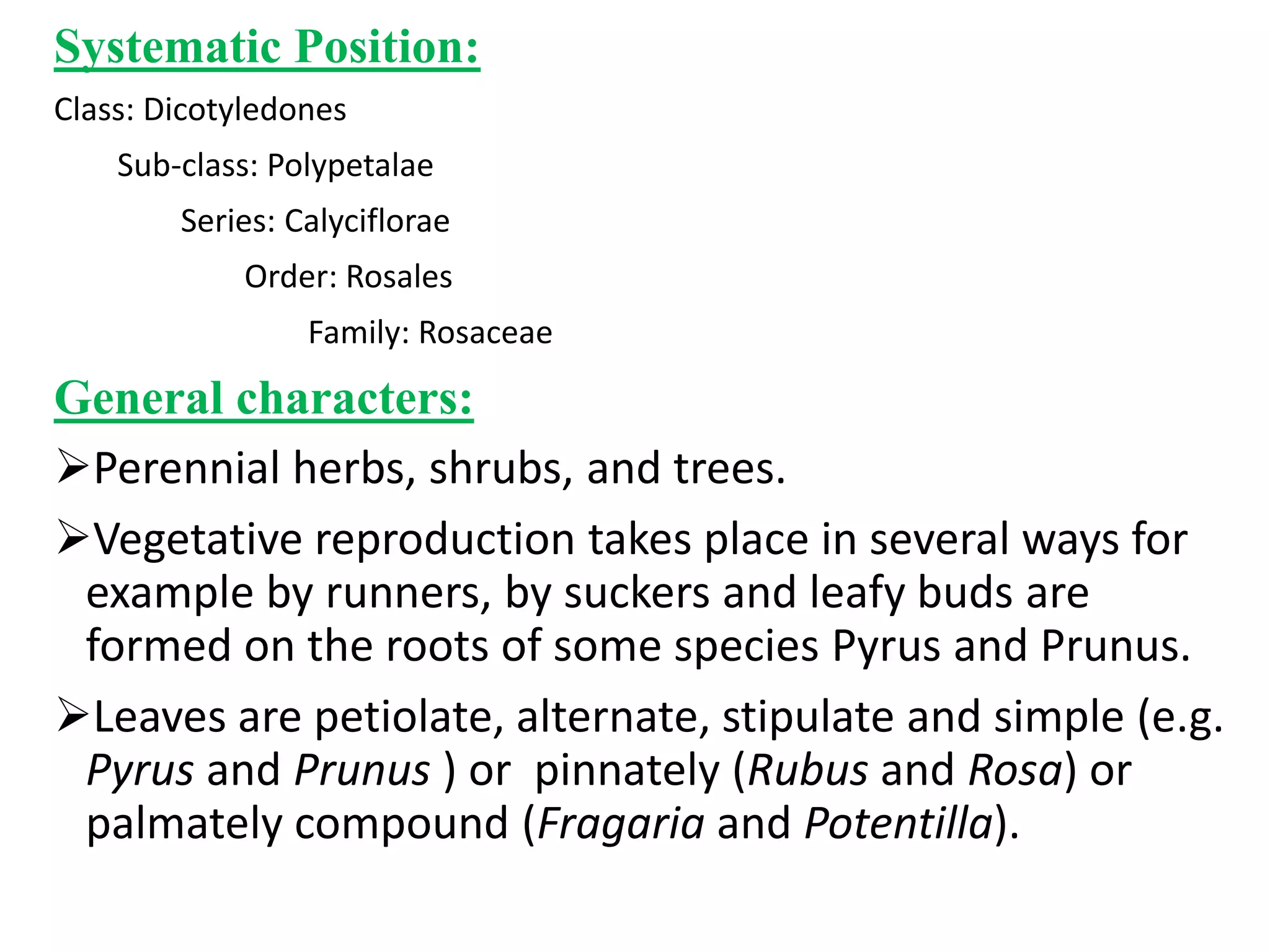 Rosaceae family-Plant Taxonomy | PPTX