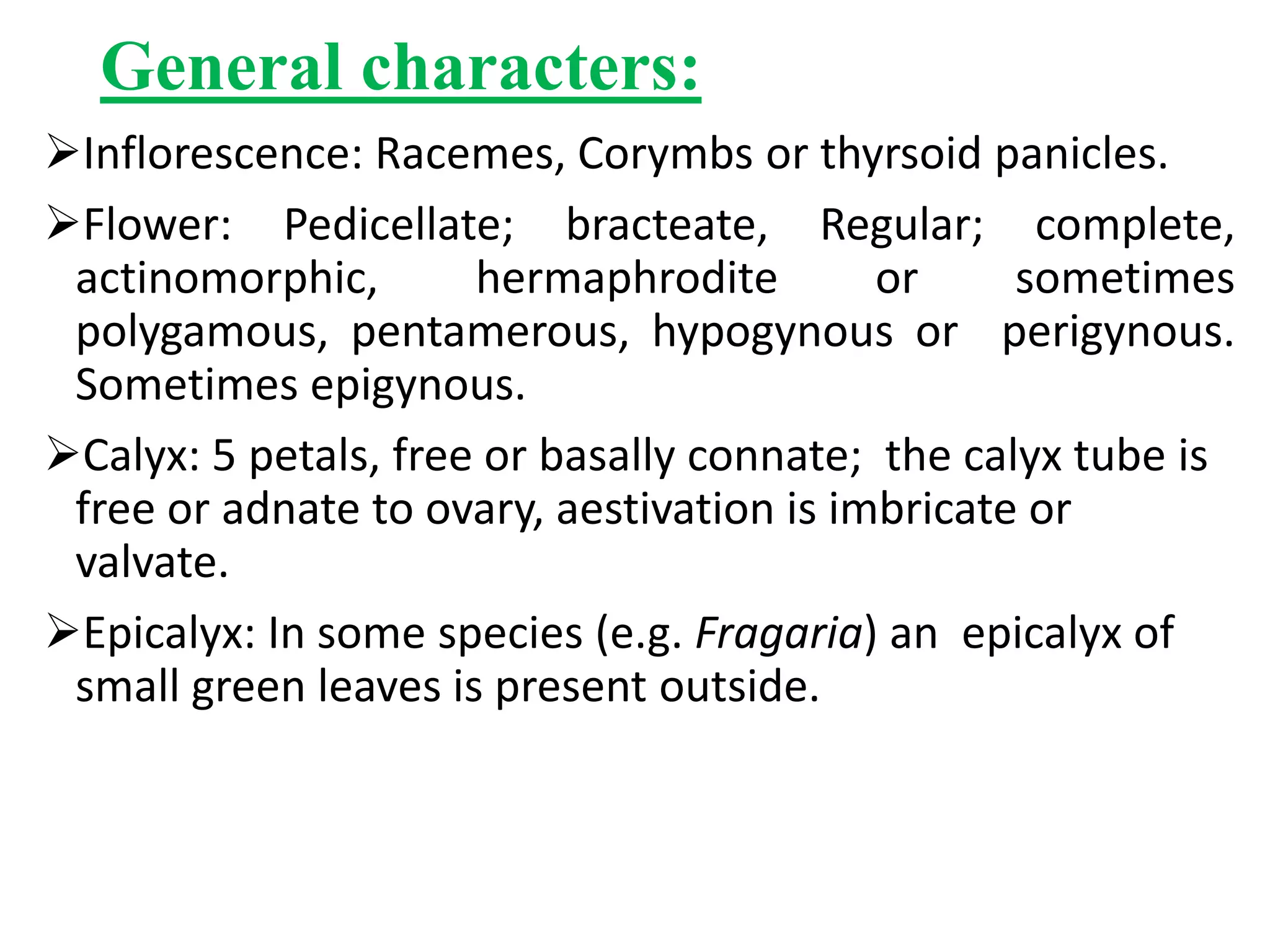 Rosaceae family-Plant Taxonomy | PPTX