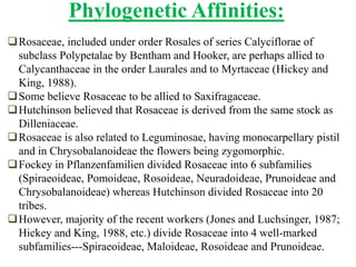Rosaceae family-Plant Taxonomy | PPTX