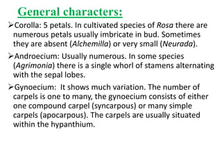 Rosaceae family-Plant Taxonomy | PPTX