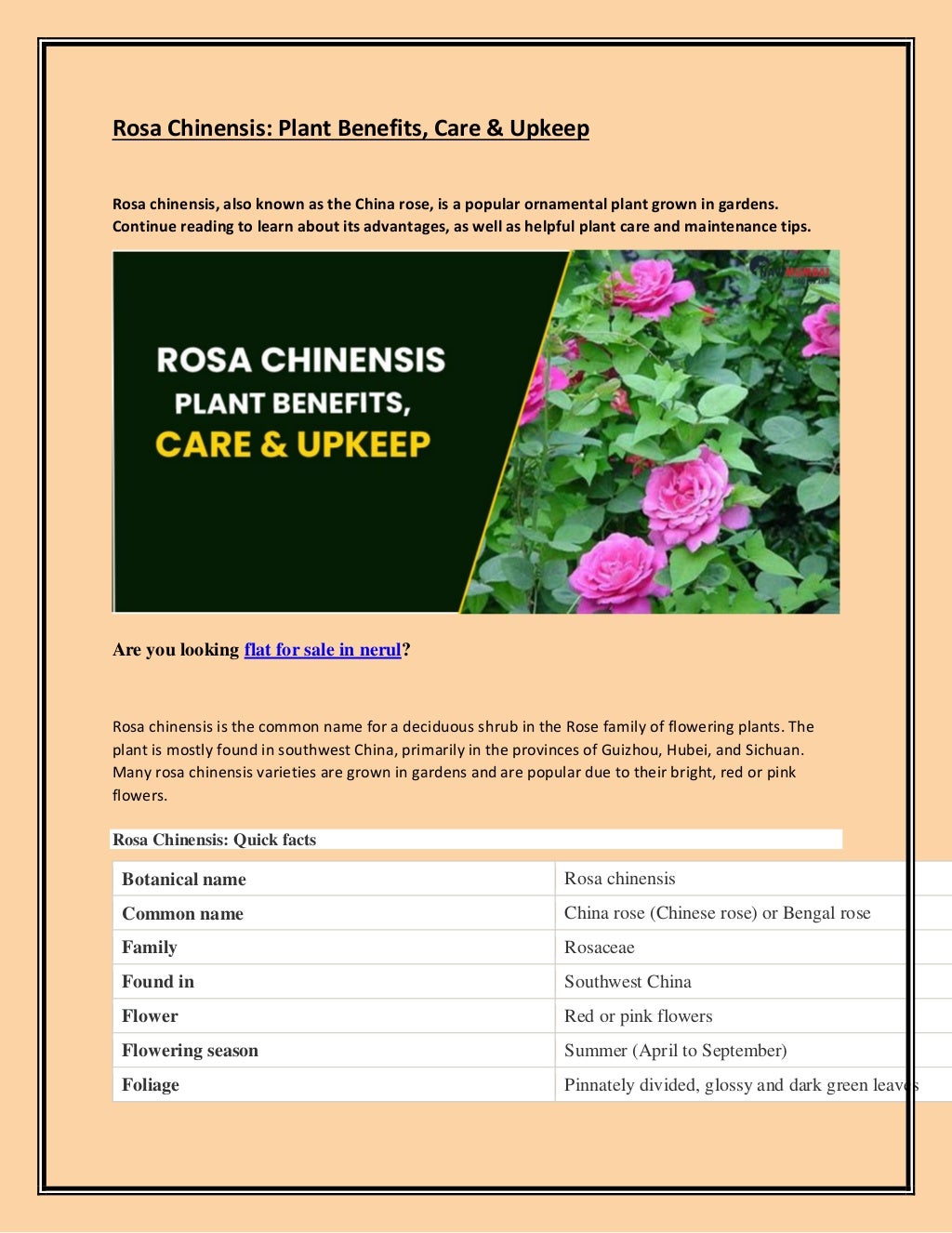 Rosa chinensis.pdf