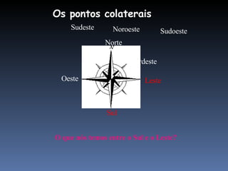 Rosa Dos Ventos, Pontos Cardeais | PPT
