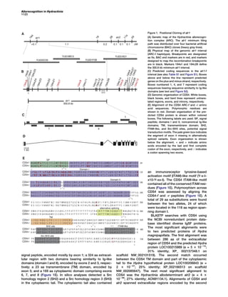 Rosa Et Al. 2010 | PDF