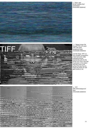 Rosa Menkman - A Vernacular of File Formats | PDF