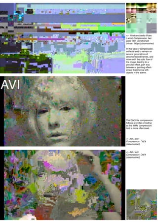 Rosa Menkman - A Vernacular of File Formats | PDF