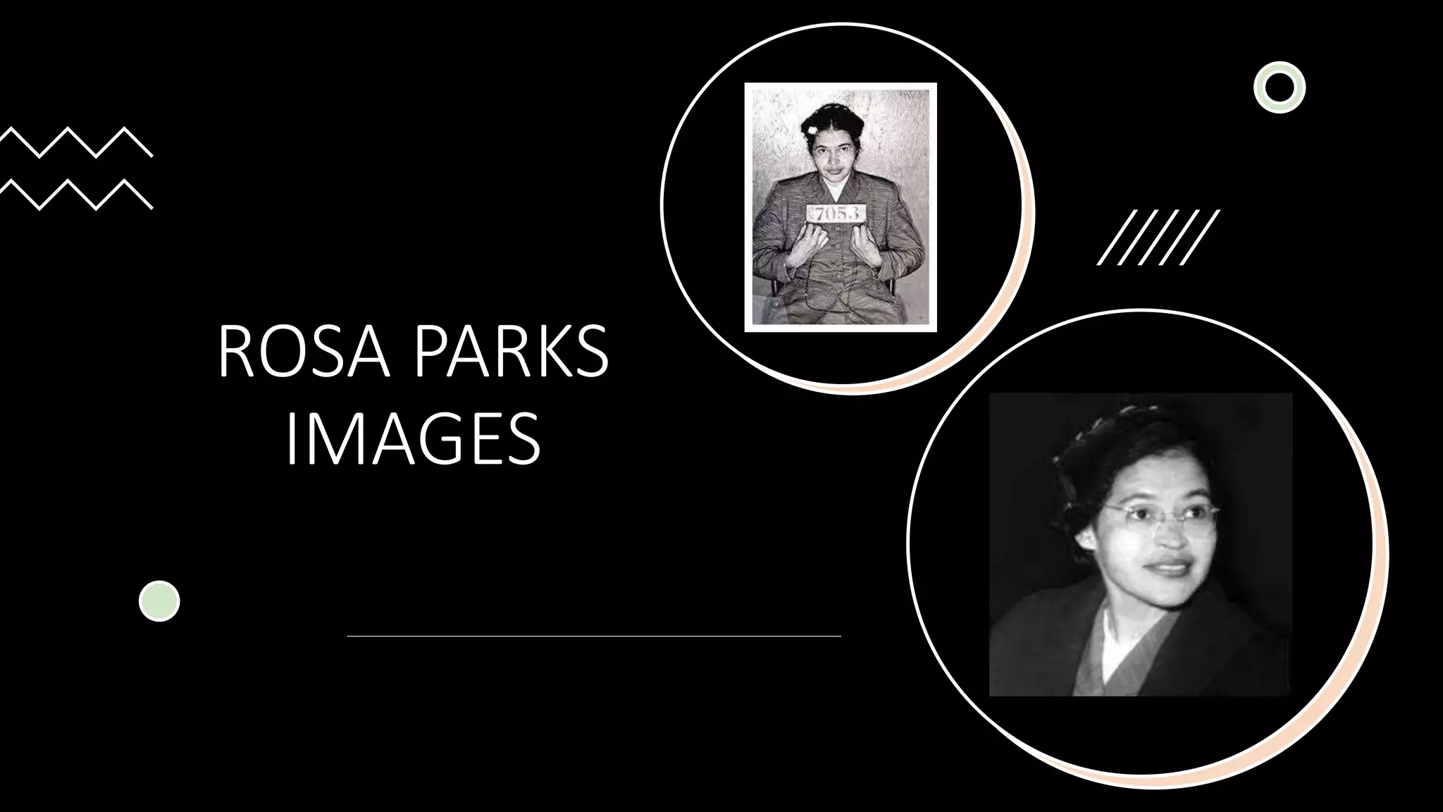 Rosa Parks & Martin Luther King.pptx