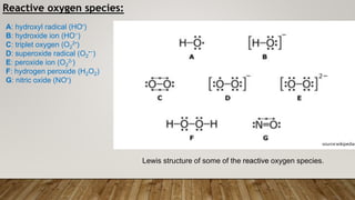 ros [].pptx | Chemistry | Science