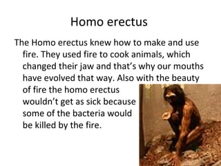 Homo Erectus Clothing