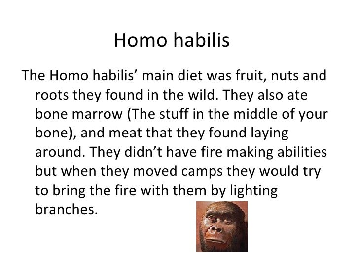 Homo Habilis Diet
