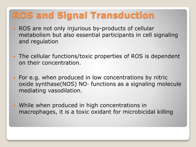 reactive oxygen species | PPSX