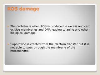 reactive oxygen species | PPSX