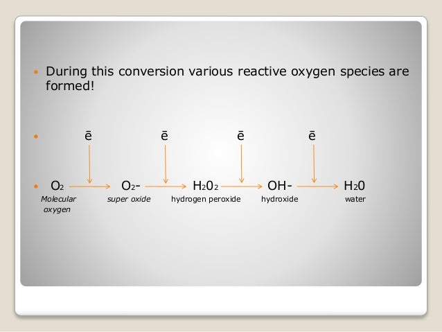 reactive oxygen species
