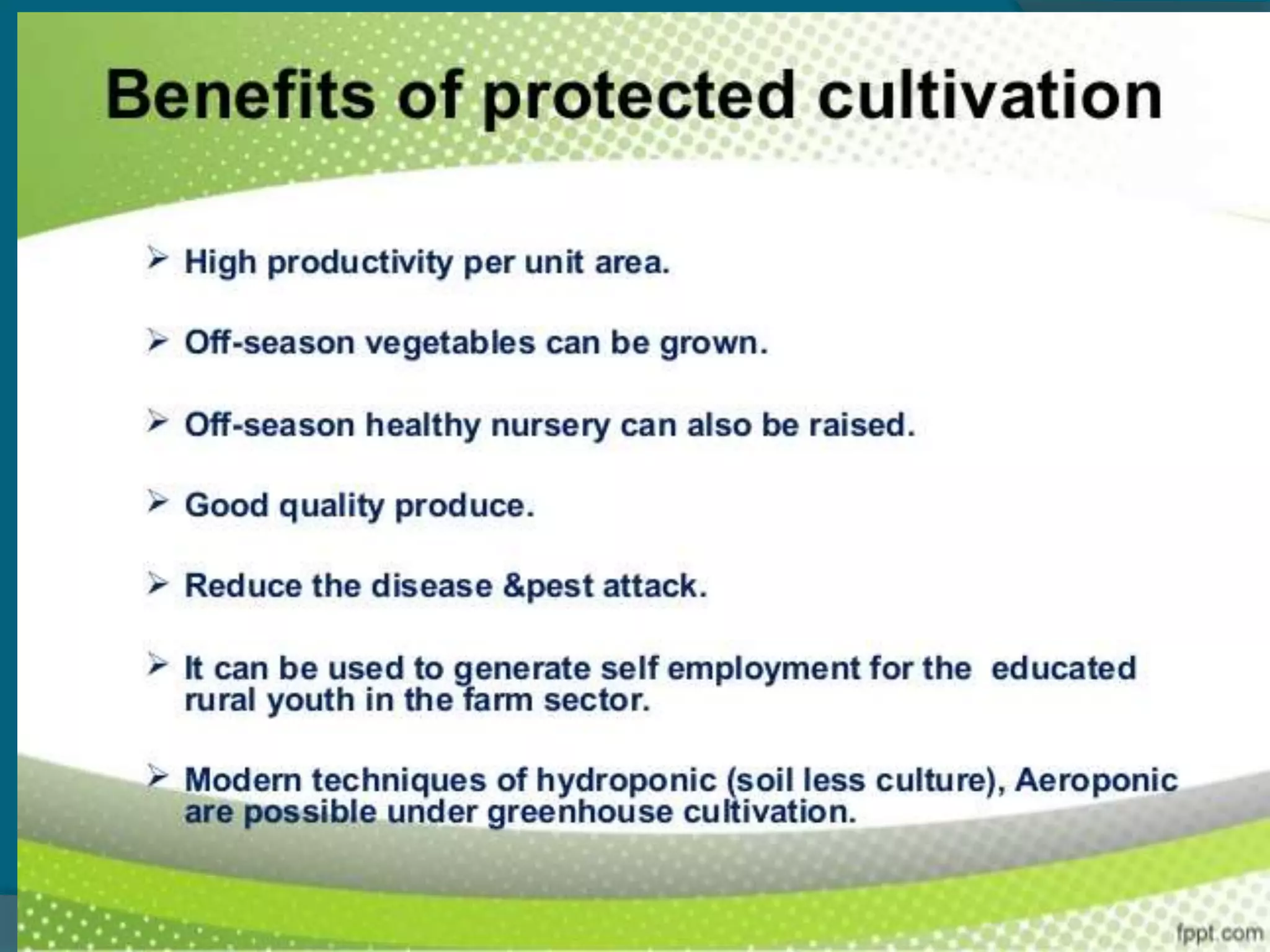 PROTECTED CULTIVATION OF ROSES | PPTX