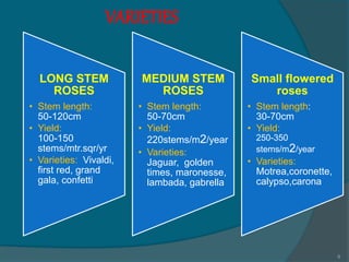 PROTECTED CULTIVATION OF ROSES | PPTX