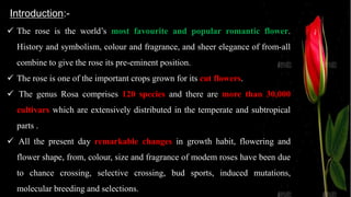 Breeding objectives and breeding procedures of Rose | PDF