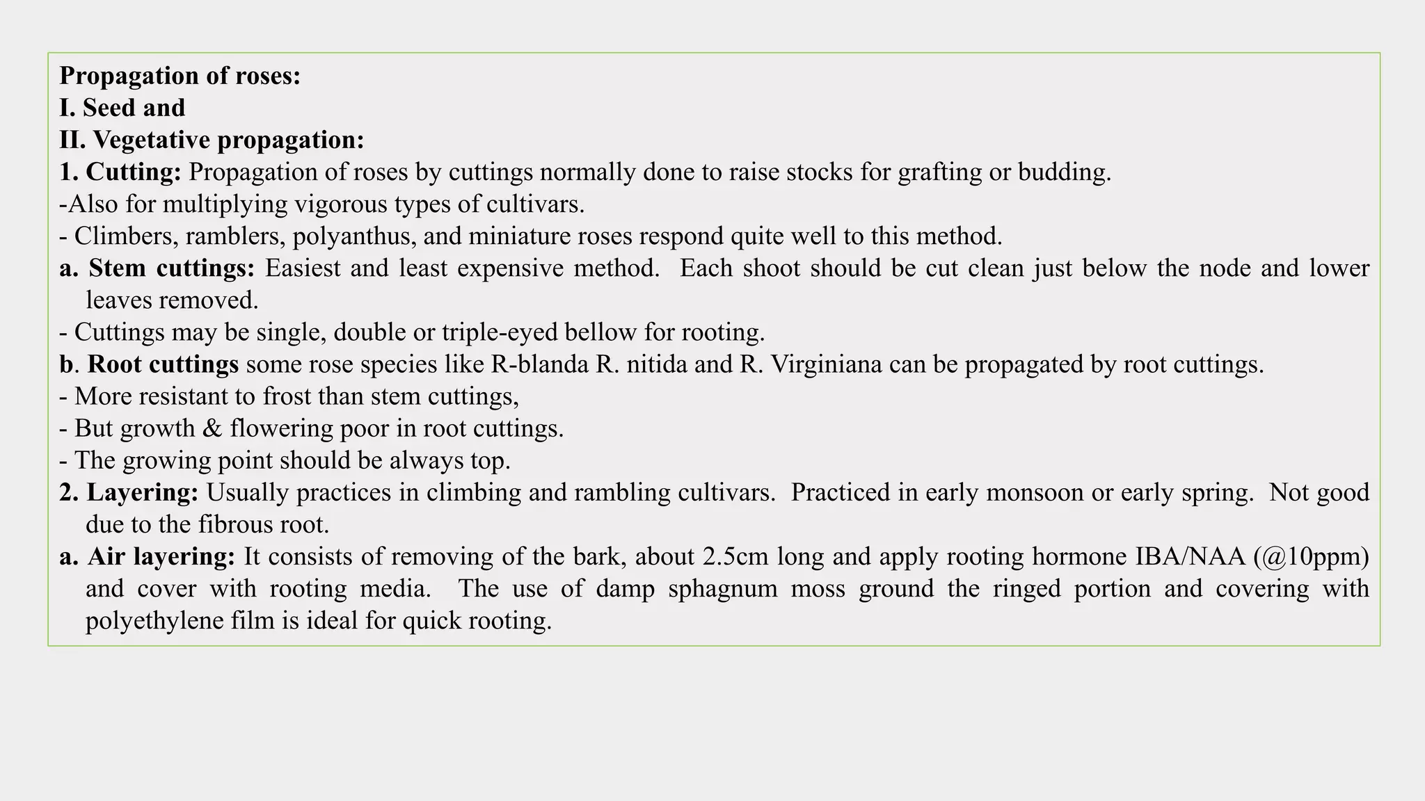 Rose | PPTX | Gardening | Home & Garden