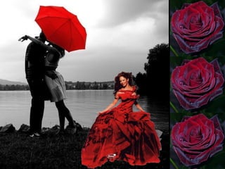 Rose e sentimenti | PPT