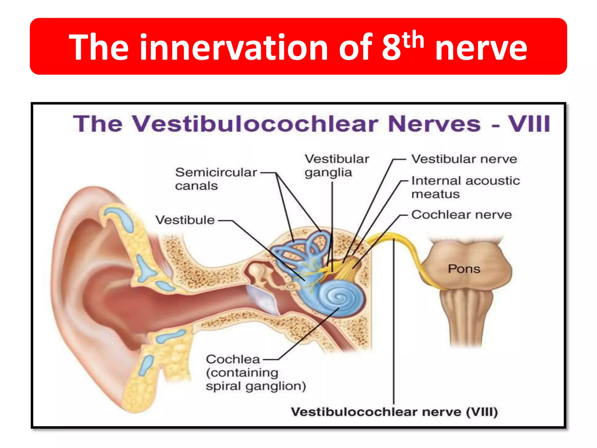 ROSE CASE - STEREOTACTIC RADIOTHERAPY FOR VESTIBULAR SCHWANNOMA | PPTX