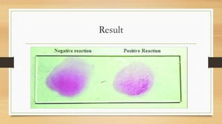 Rose bengal plate test | PPT