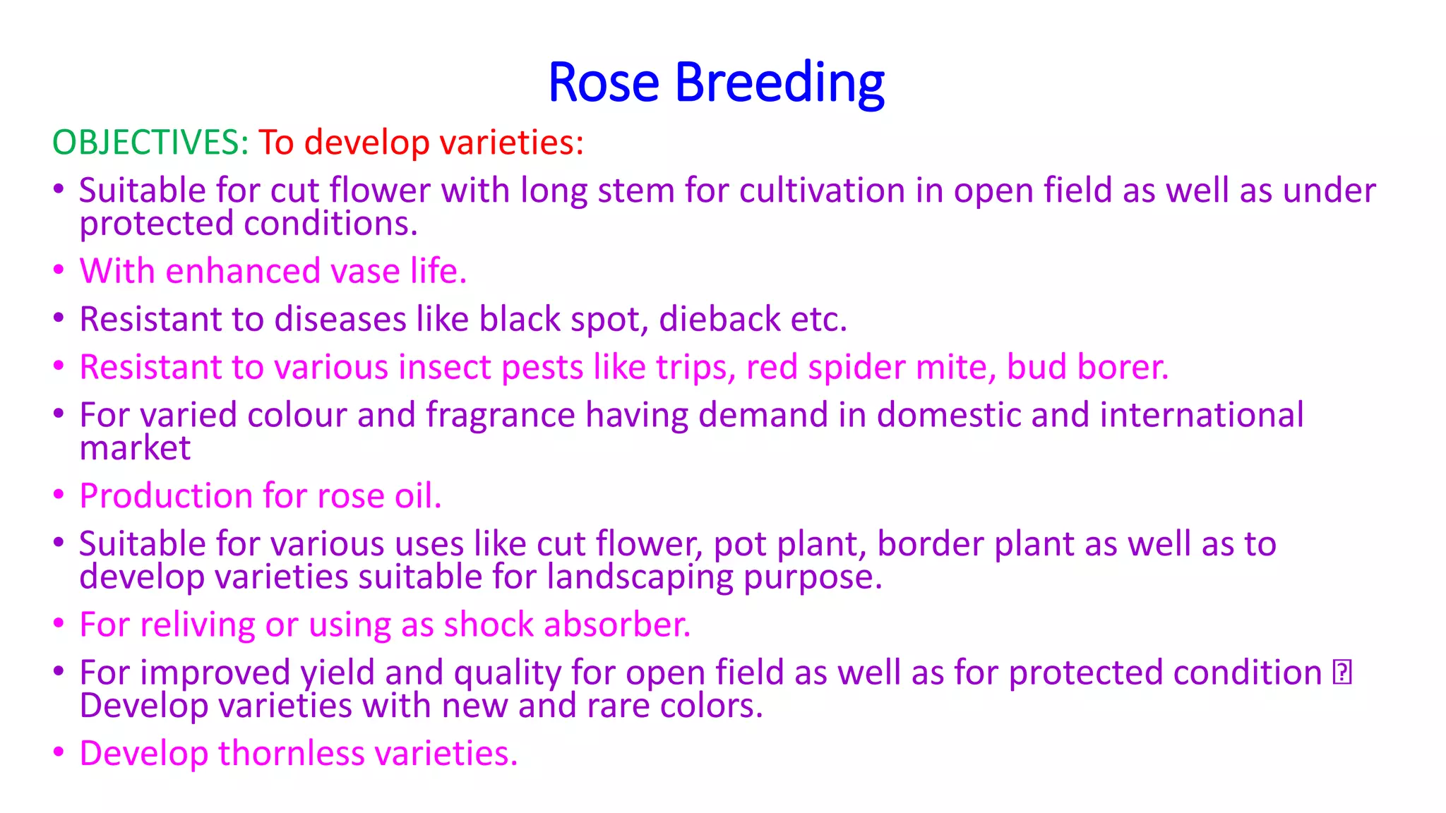Rose Breeding.pptx