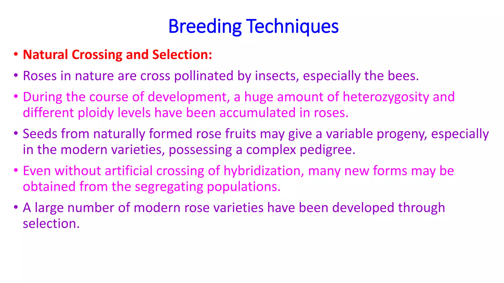 Rose Breeding.pptx