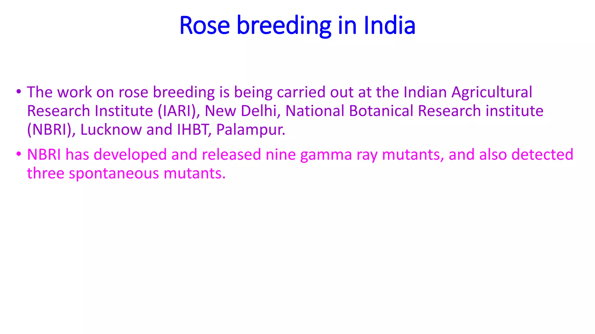 Rose Breeding.pptx