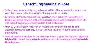 Rose Breeding.pptx