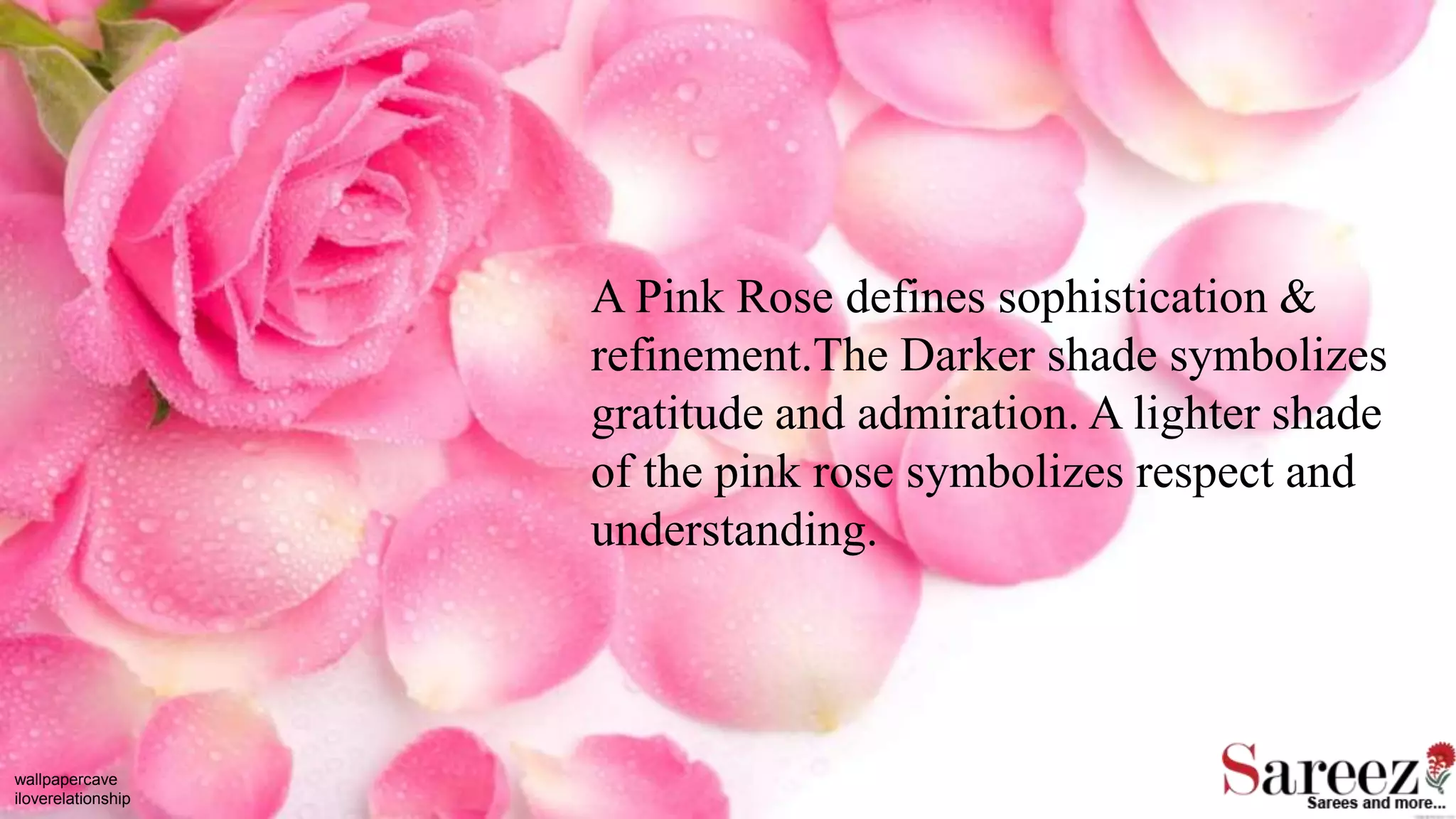 Rose & Relationship | PPT