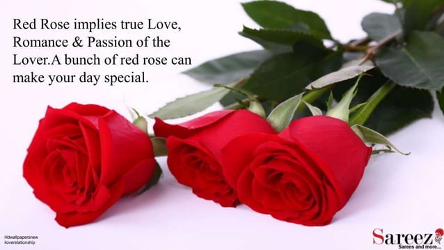 Rose & Relationship | PPT