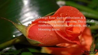 Rose & Relationship | PPT