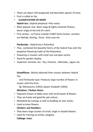 ROSE CULTIVATION IN INDIA | DOCX