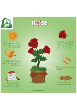 Rose infographics-01.pdf