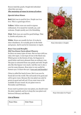 Rose Information in English-Rose Information for Project-Rose ...