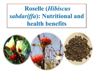 Roselle Plant Health Benefits