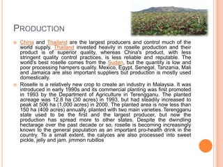 What is Roselle | PPT