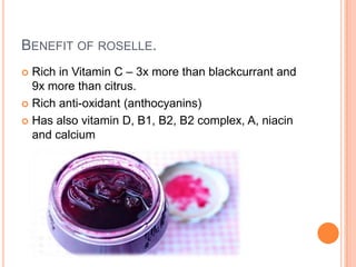 What is Roselle | PPT