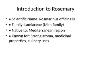 The_Rosemary_the_herb_A_Presentation.pptx