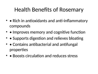 The_Rosemary_the_herb_A_Presentation.pptx