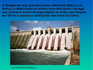Río Senegal | PPT