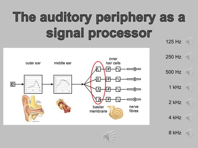 Outreach Sept 2018: Stuart Rosen | PPT