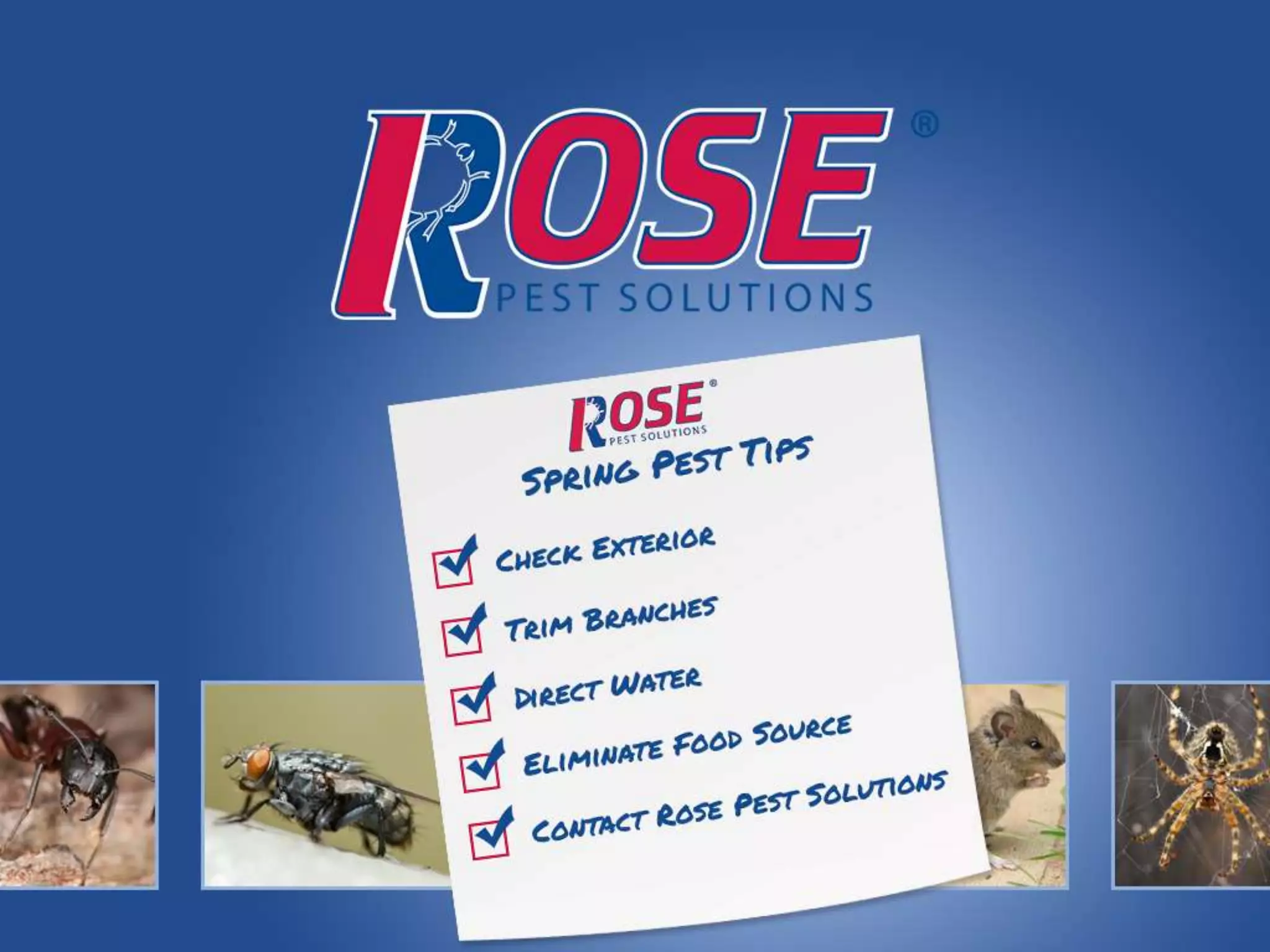 Rose pest solutions spring pest tips | PPTX