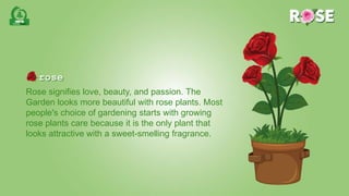 Rose | PPTX