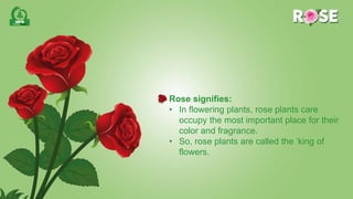 Rose | PPTX