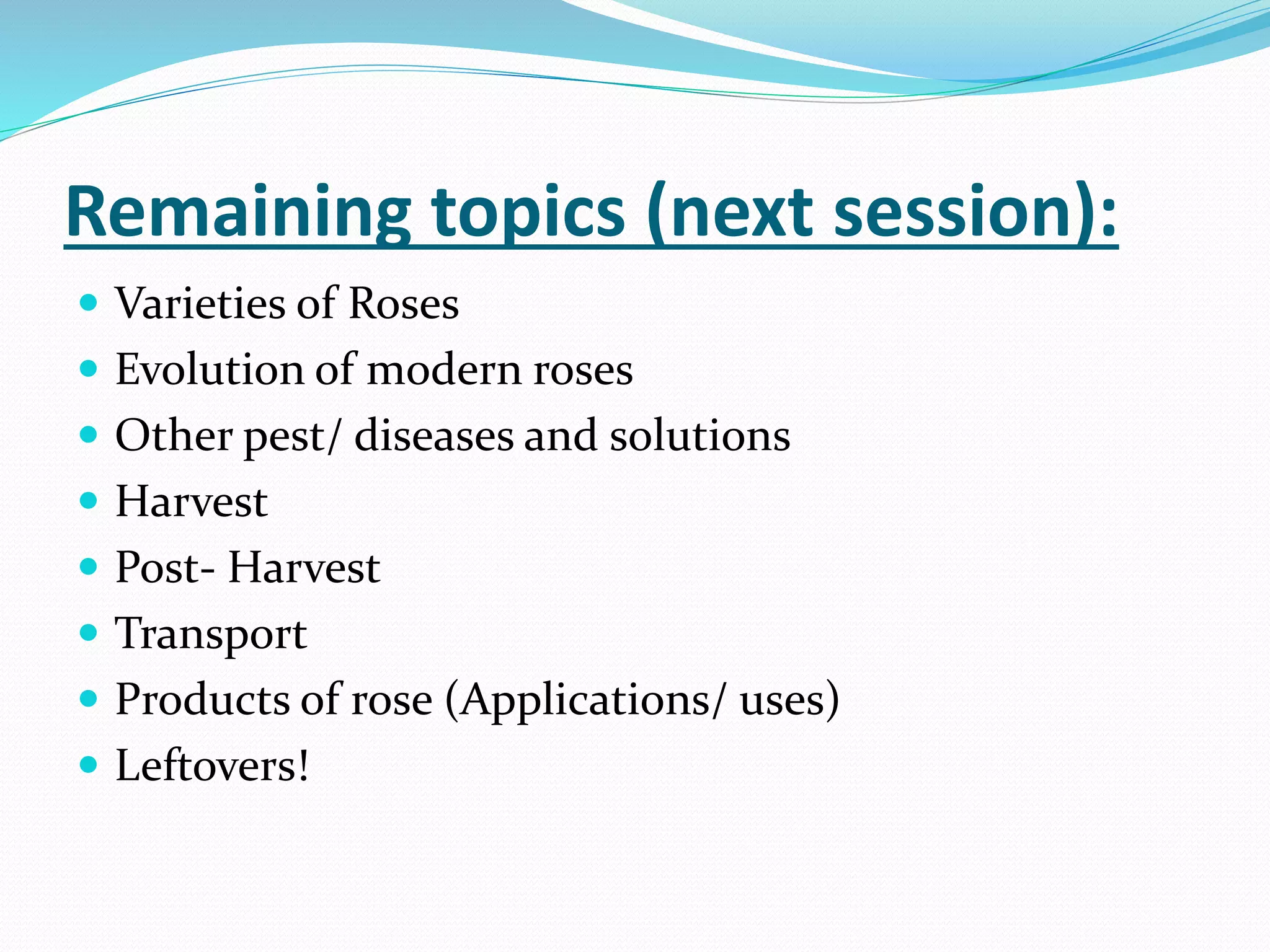 Rose Cultivation | PPTX