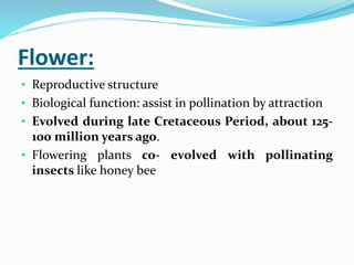 Rose Cultivation | PPT