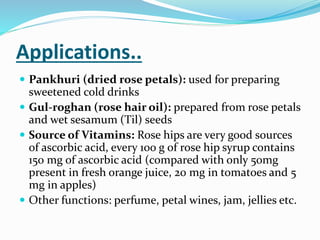Rose Cultivation | PPT
