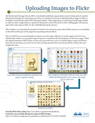 More than just a pretty picture: improving the discoverability of ...