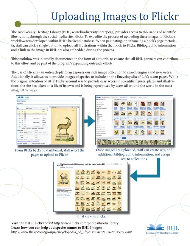 More than just a pretty picture: improving the discoverability of ...