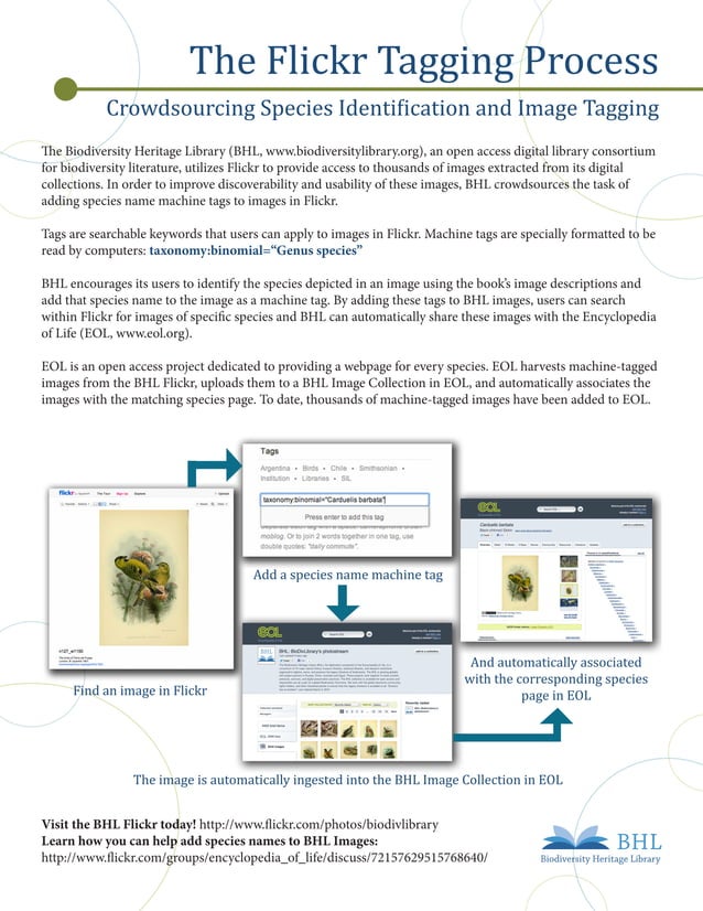 More than just a pretty picture: improving the discoverability of ...